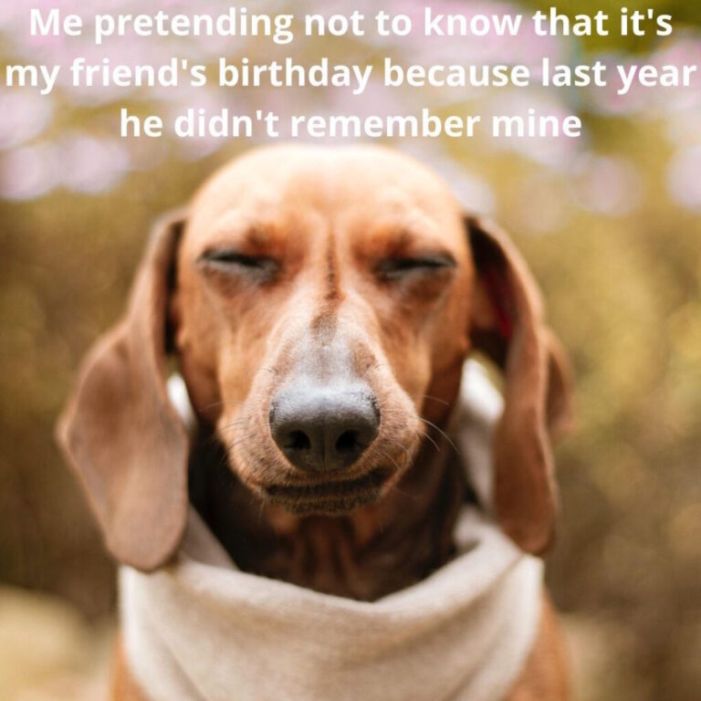 101+ Original, Happy Birthday Memes for Everyone - Birthday Wishes AI