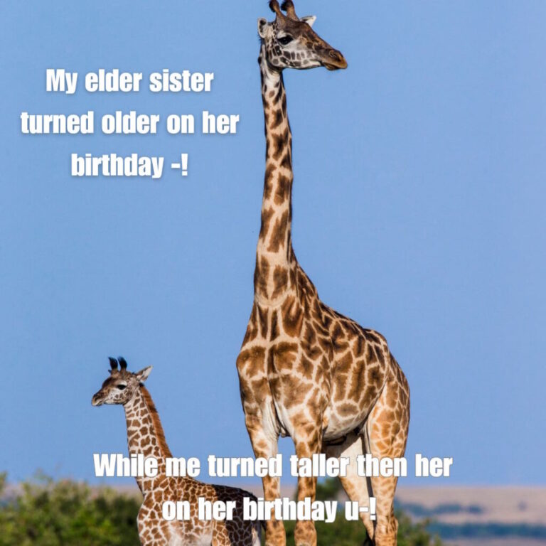 101+ Original, Happy Birthday Memes for Everyone - Birthday Wishes AI