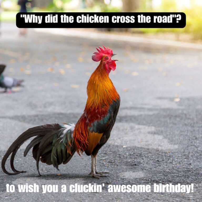 101+ Original, Happy Birthday Memes for Everyone - Birthday Wishes AI
